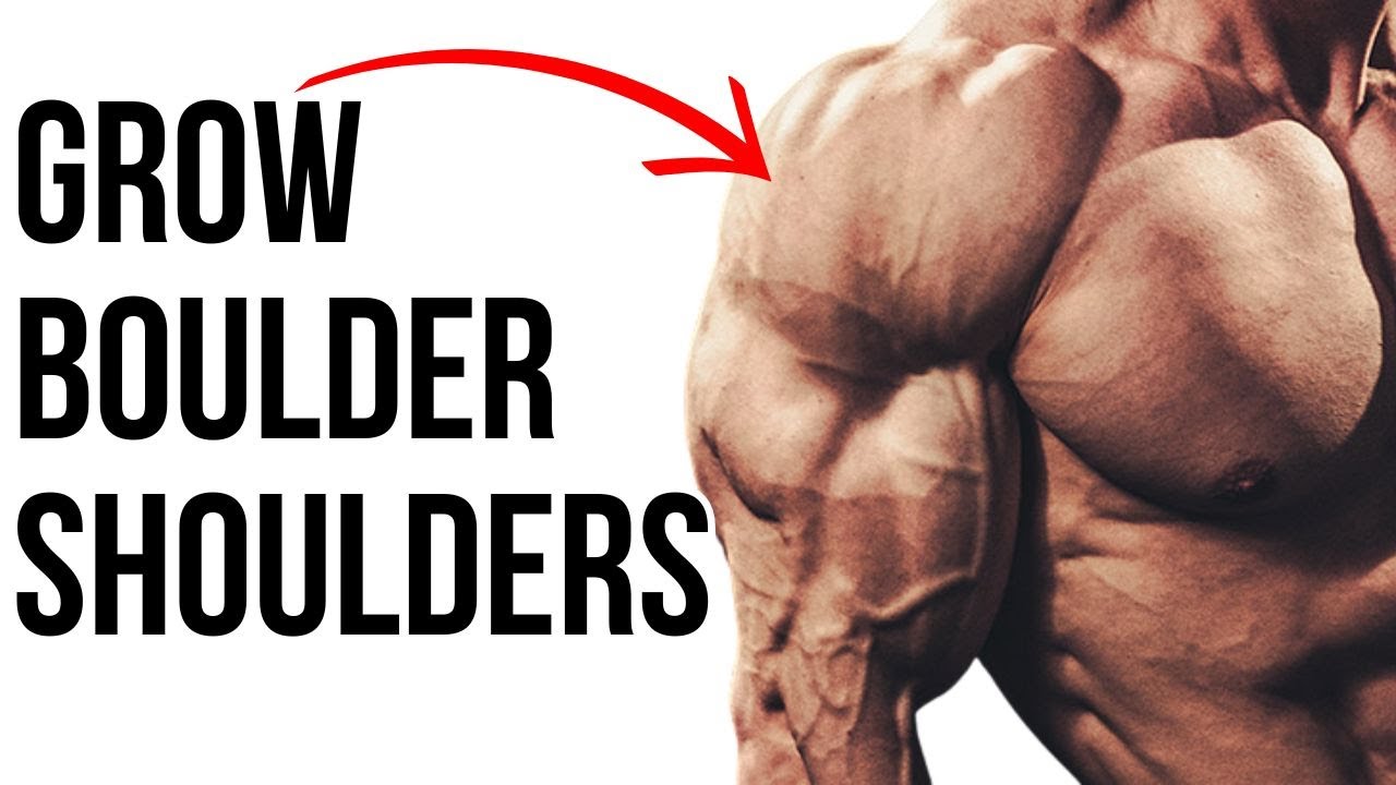 How to Train Middle Delts - The Anatomy of Lifting - YouTube