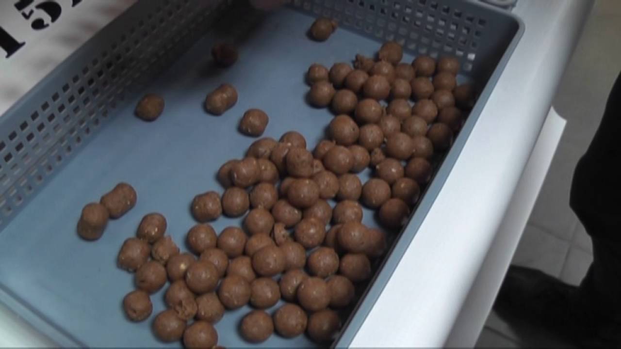 Boilie machine Boilie Lab DUO presentation by BoilieRoller - YouTube