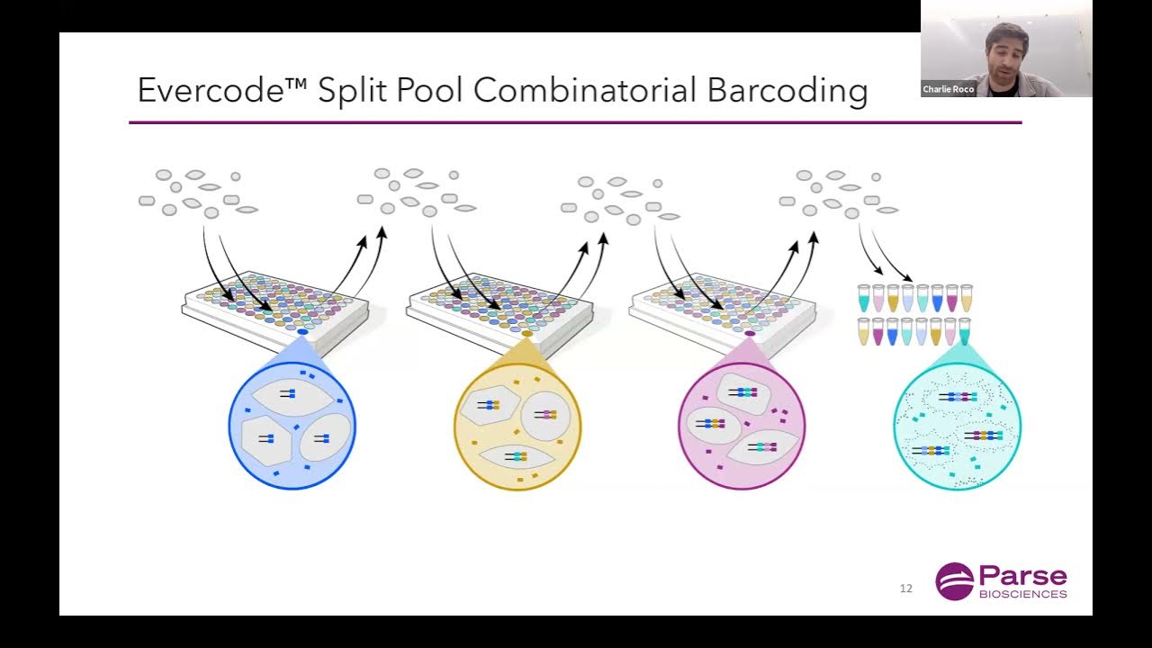 Parse Biosciences introduces Single Cell 3.0 - YouTube