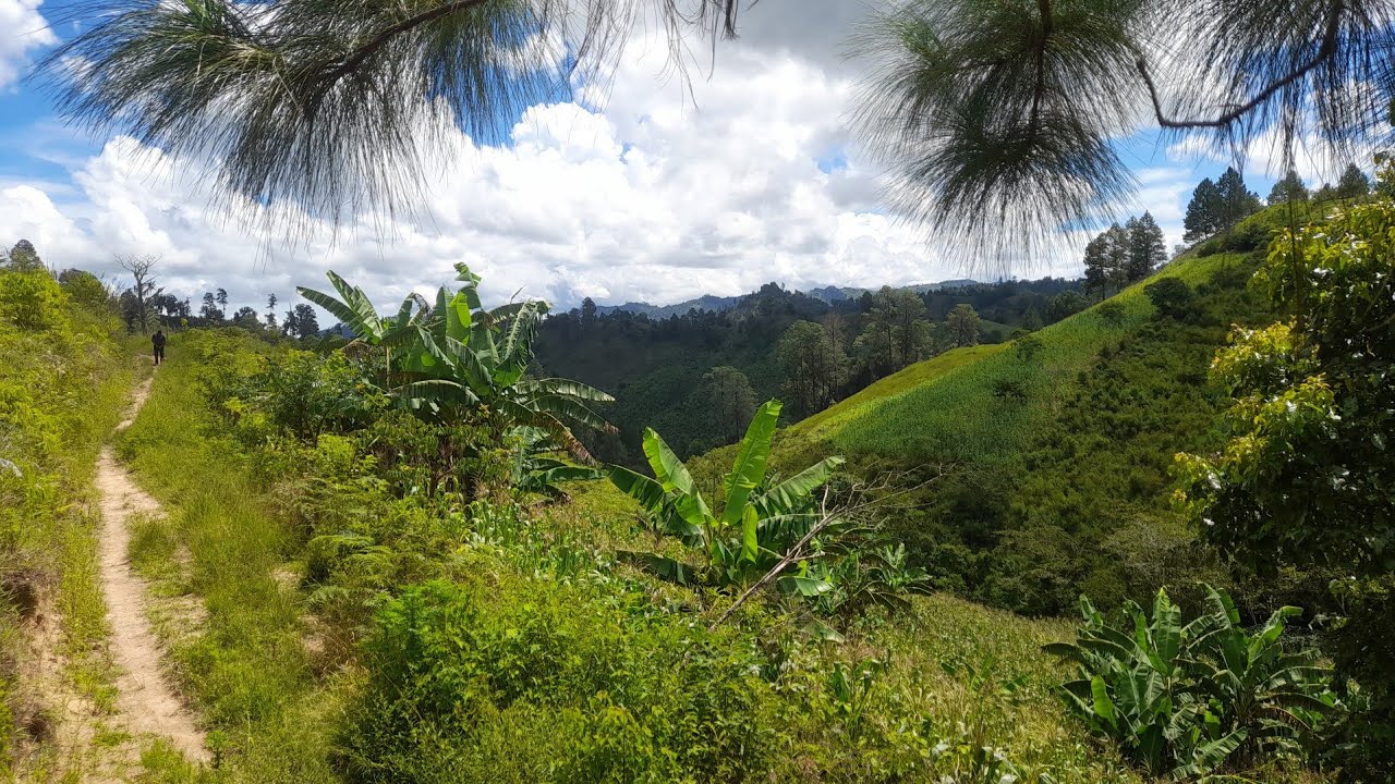 ASI ES UN AMANECER EN OLANCHO EL DEPARTAMENTO MAS GRANDE DE HONDURAS,# ...