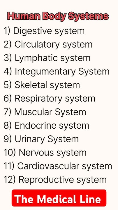12 Organ Systems/Human Body Systems/Organ Systems #shorts #youtubeshort ...