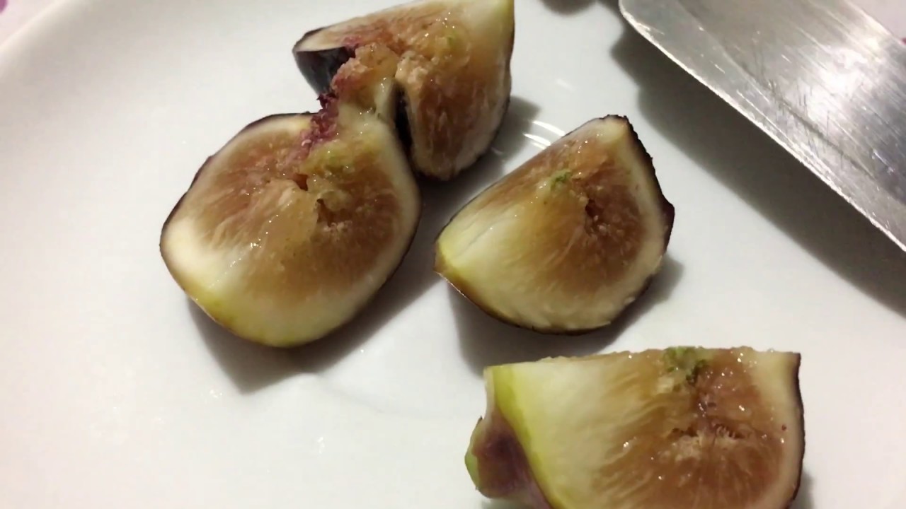 Taiwan Golden Fig - YouTube