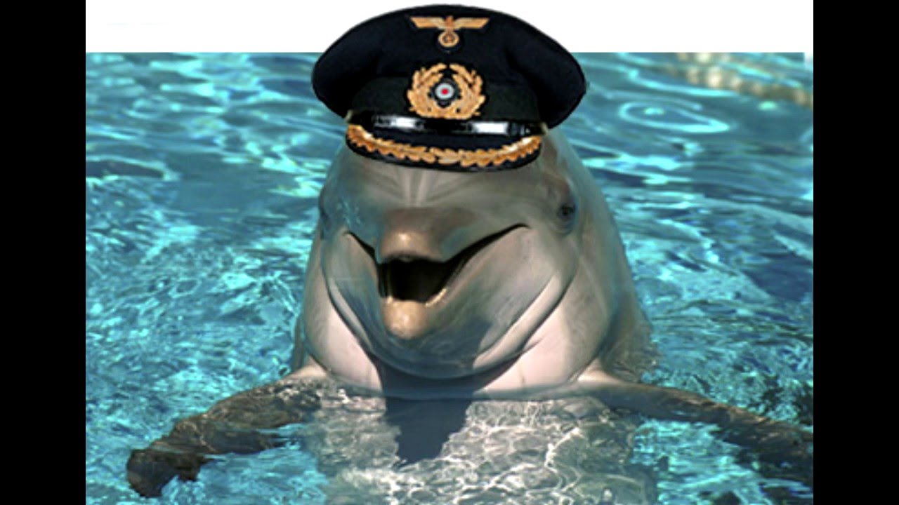FUNNY DOLPHIN (League of Legends) - YouTube