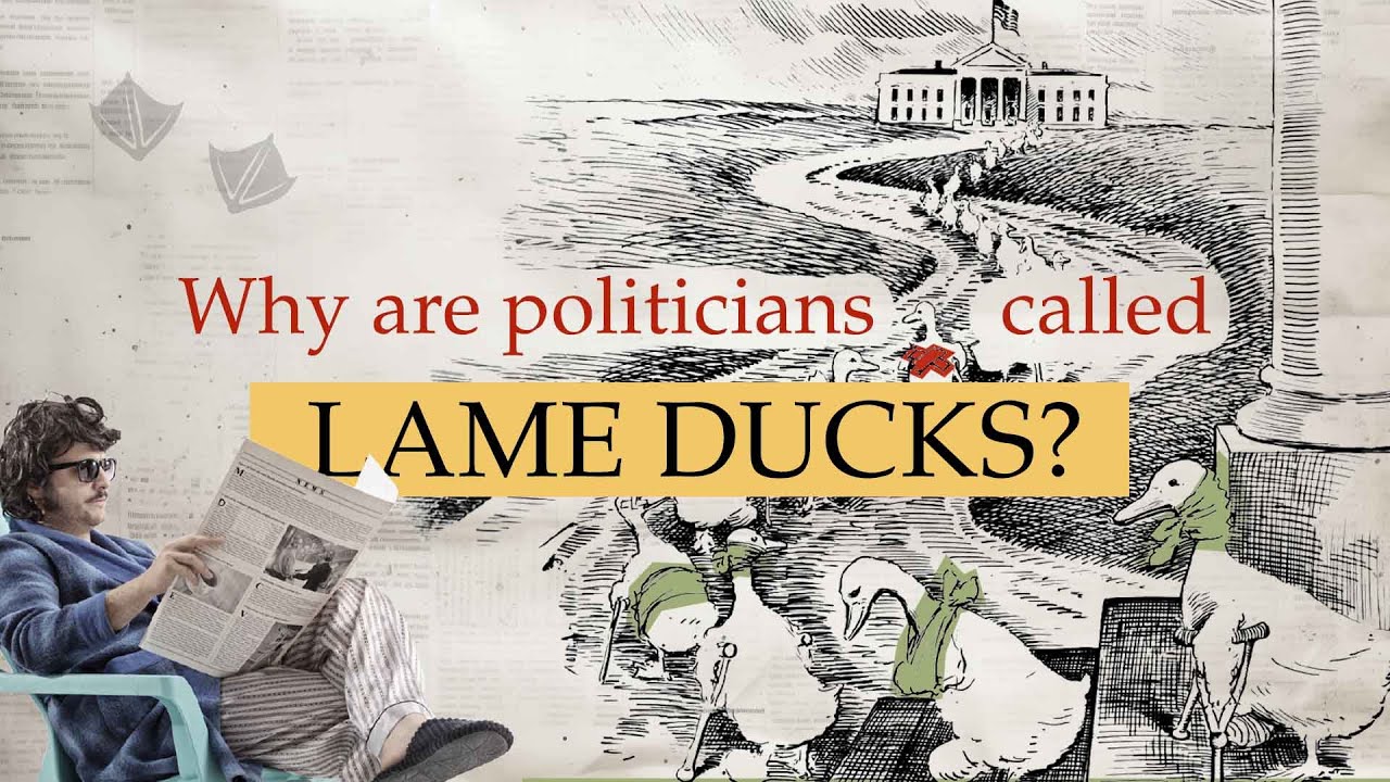 Why are politicians called lame ducks? | VOA News - YouTube