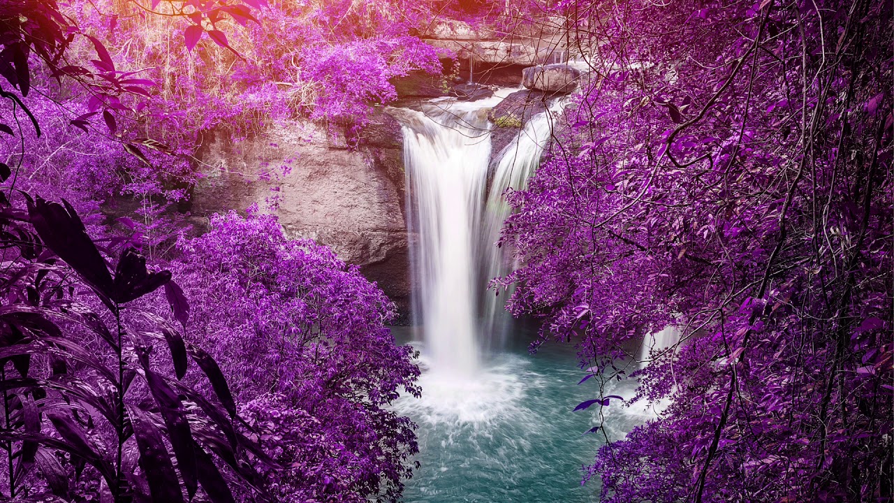 Echo, written by Jill Yoder, voice by Mitch Bensel, video by Julie Kusma - YouTube