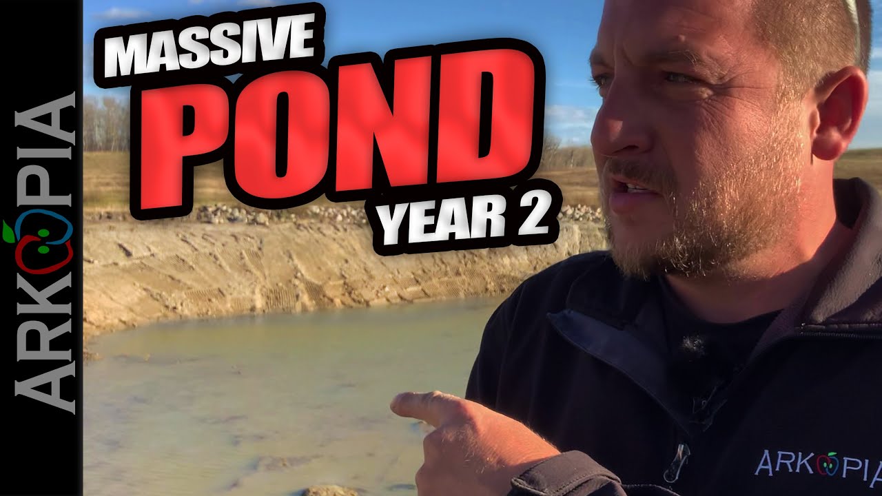 💧Huge Pond Build - 30ft deep - Permaculture for big boys. So large it's ...