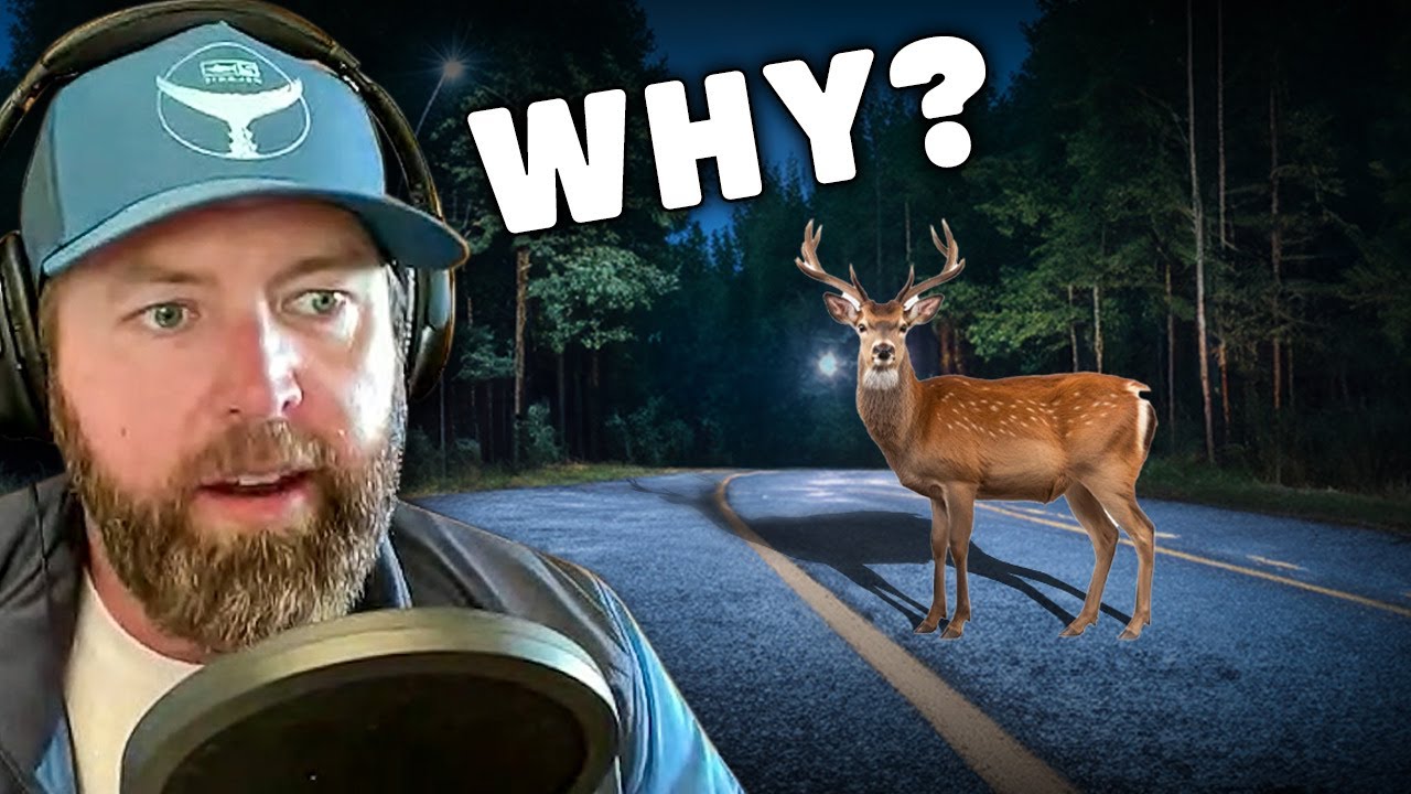The Reason Deer Stop in Headlights May Surprise You - YouTube