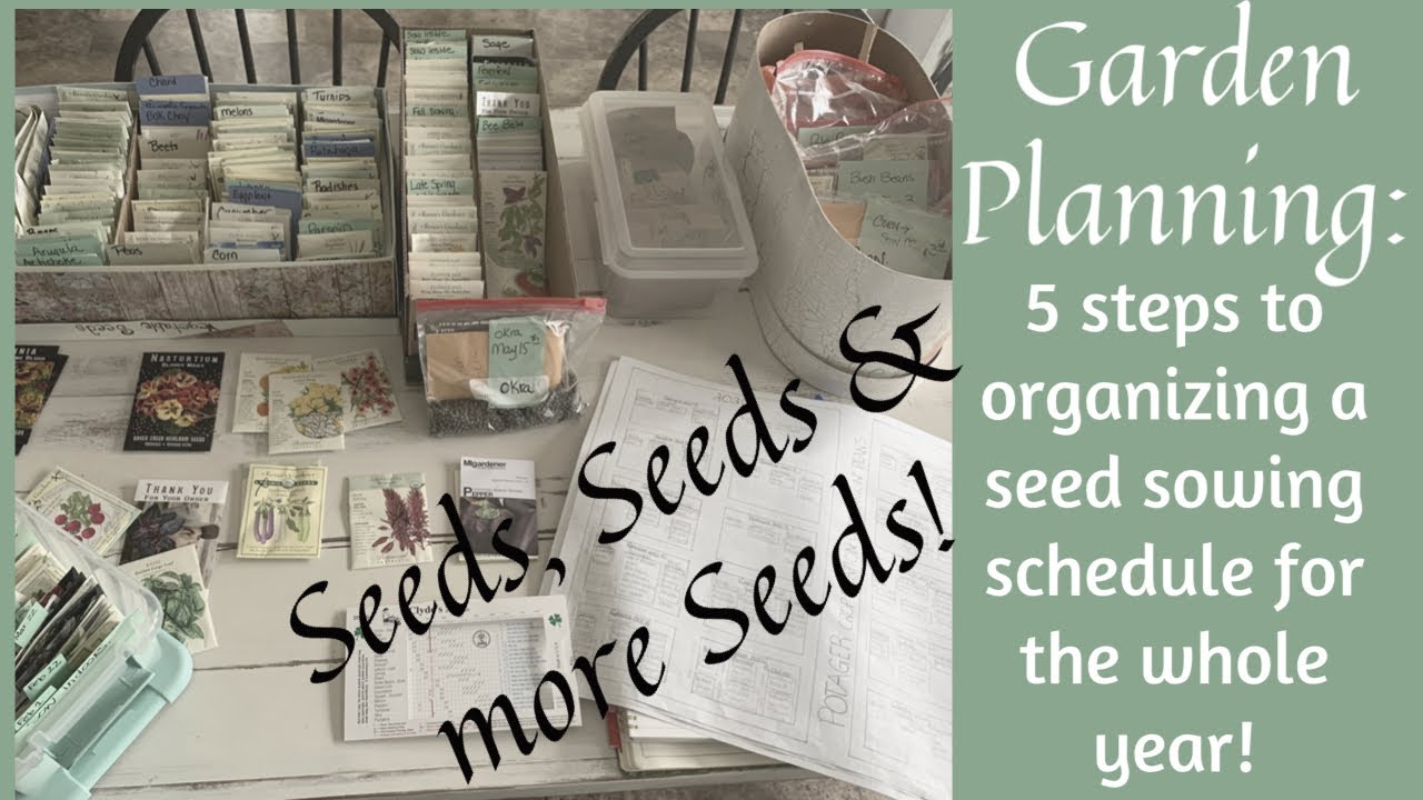 Garden Planning: 5 steps to organizing a seed sowing schedule for the ...