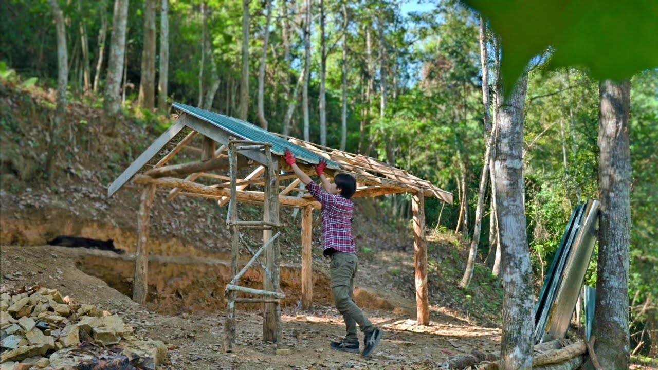 The beginning of the promised land.build a log cabin in the jungle ...