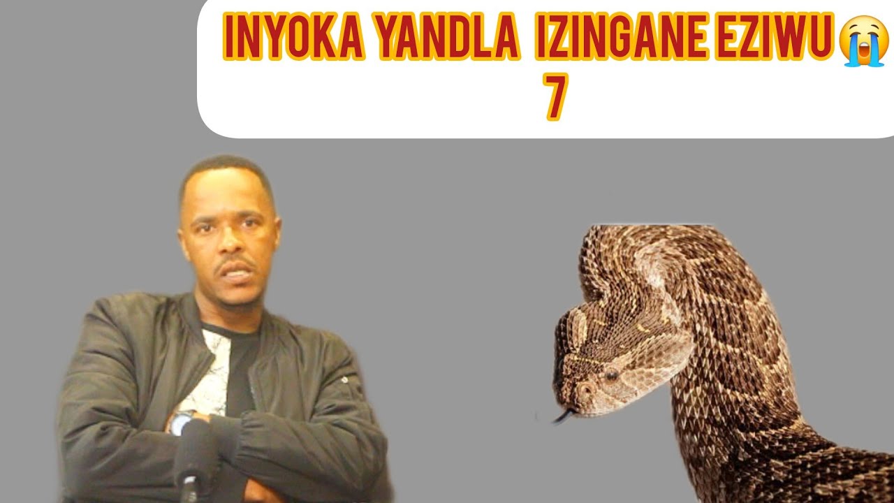 inyoka kamamezala yandla izingane eziw 7🐍🐍 |waxosha umakoti ethi ...