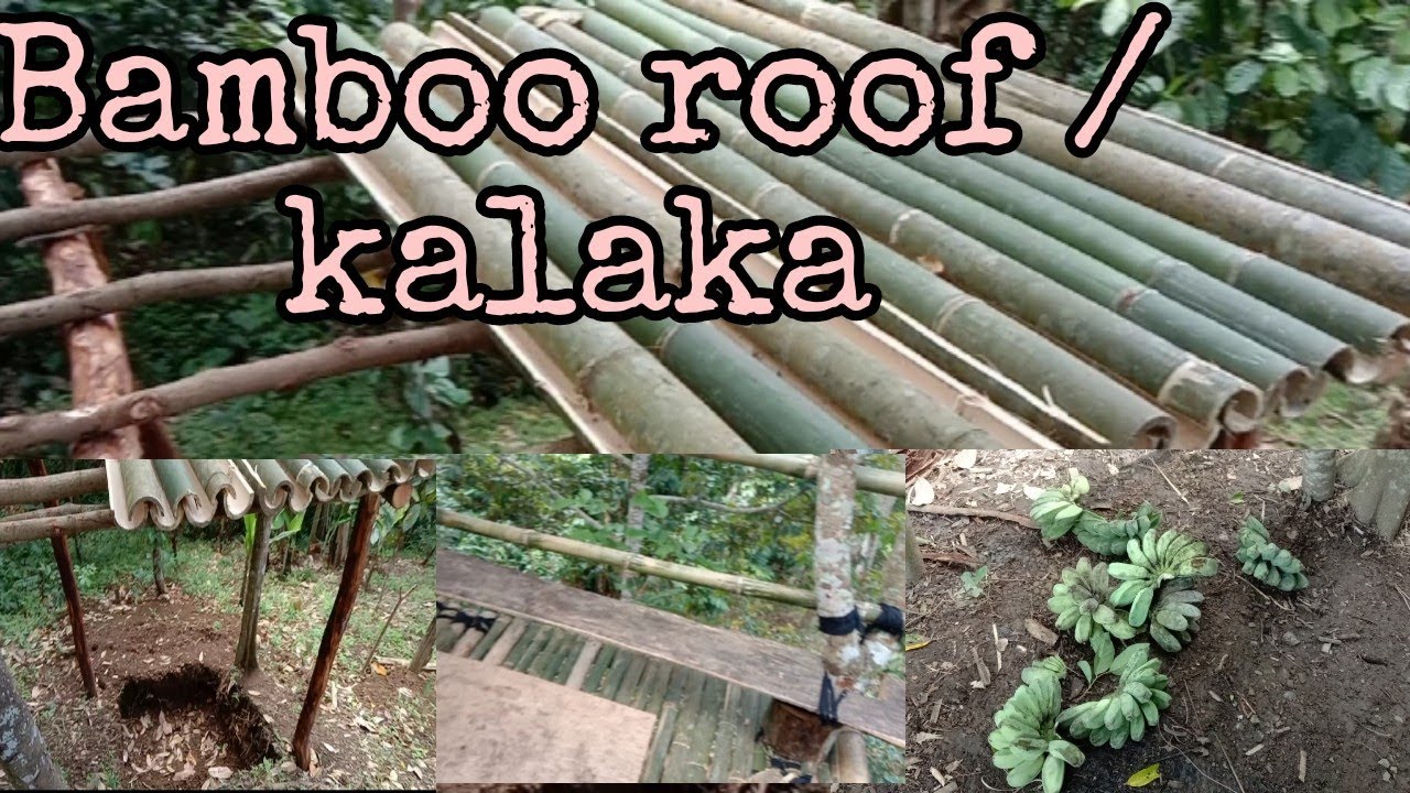 Vlog 12 : Day 12 Making bamboo roof / kalaka & seat rest + green banana ...