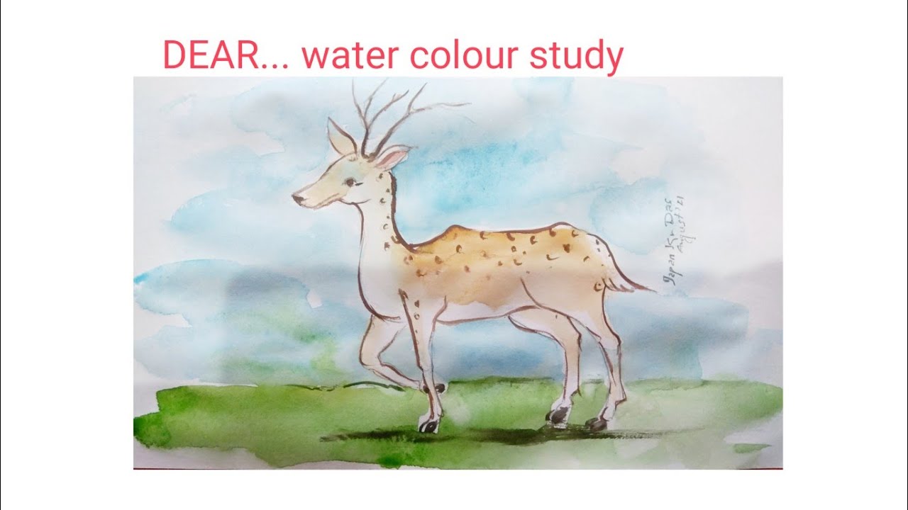 DEAR.. anatomy study - YouTube