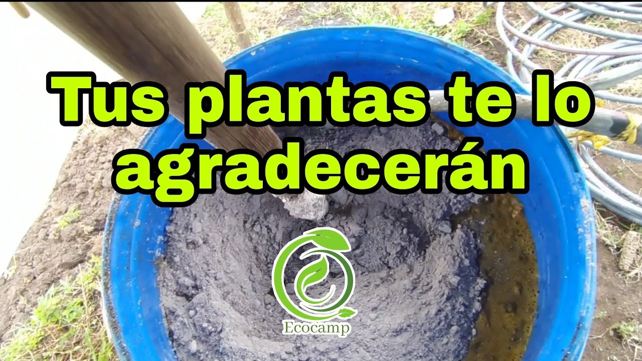 Cómo hacer fertilizante orgánico. -- biol con estiércol de vaca - YouTube