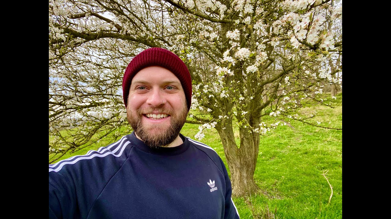 Walking the Polden Way from Combe Hill Woods, Somerset - March 2021 ...