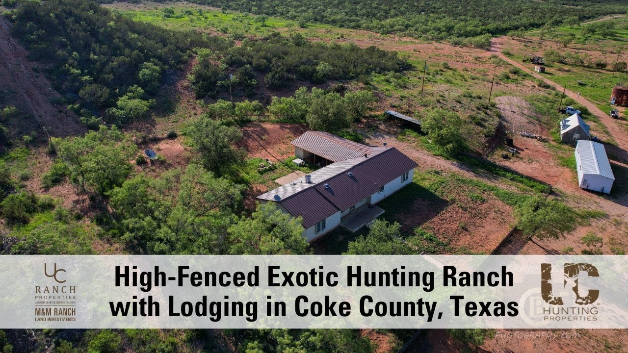 High-Fenced Exotic Hunting Ranch with Lodging in Coke County, Texas ...