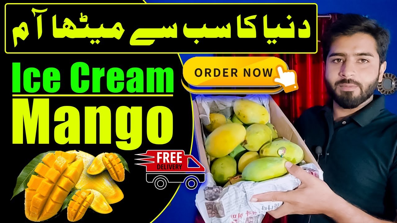 Worlds Best & Sweet Mango | Ice Cream Mango | Chita Chaunsa Mango ...