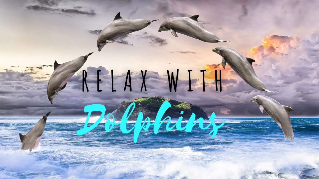 Peaceful music with Dolphin sound videos - Relaxation, Stress Relief ...