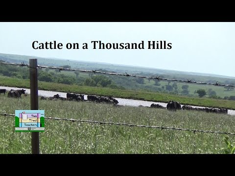 Cattle on a Thousand Hills - RV Inspiration - YouTube
