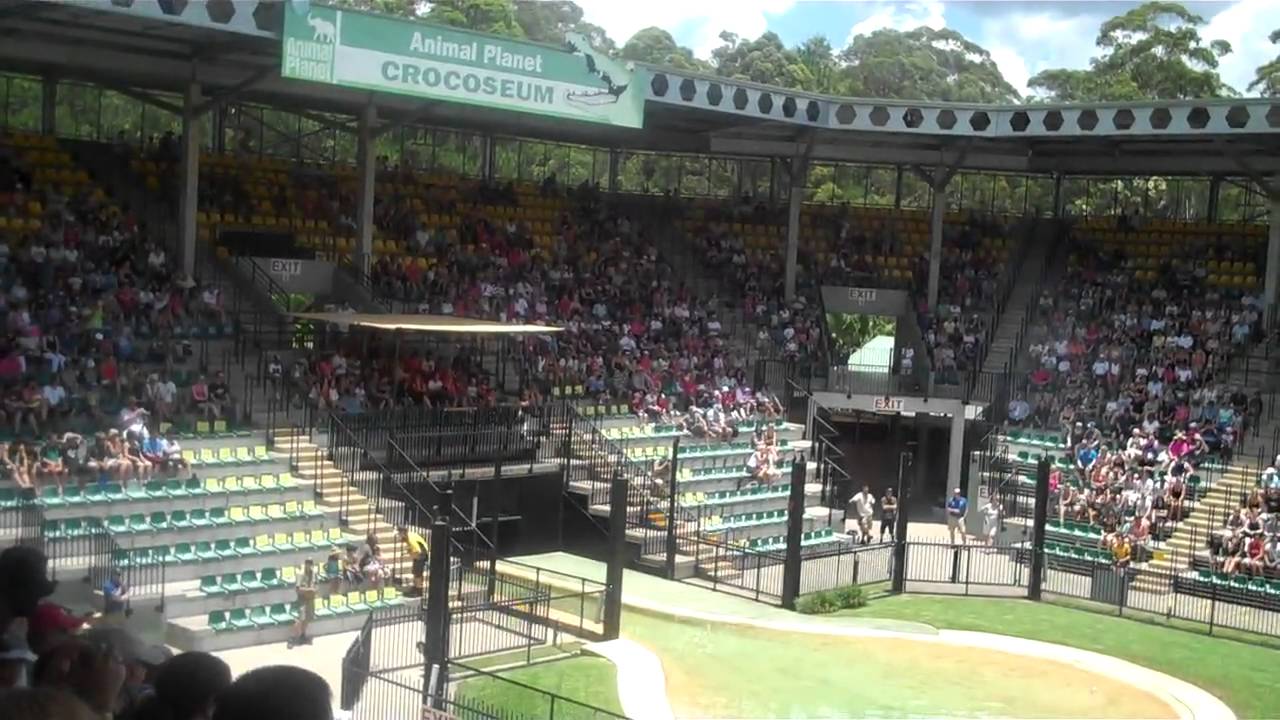 croc show 1.MP4 - YouTube