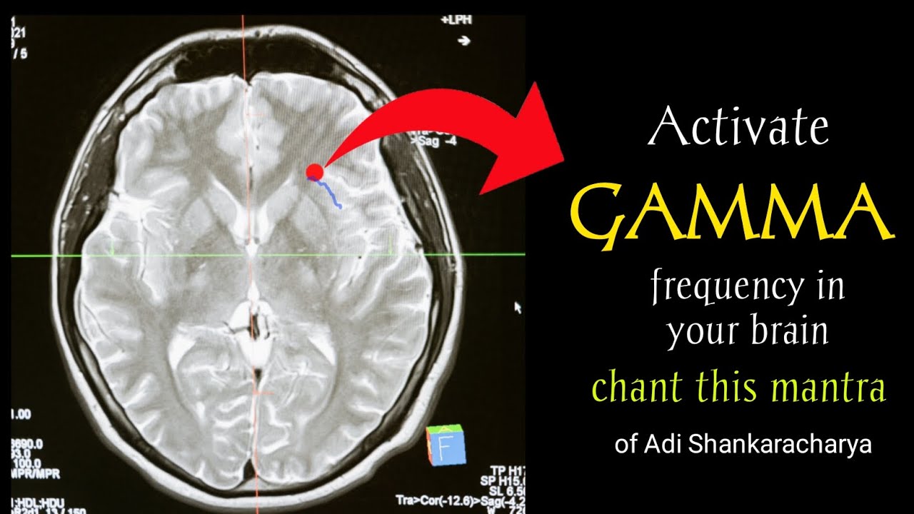 This Mantra Can Activate Gamma Brain Waves 🤯 - YouTube