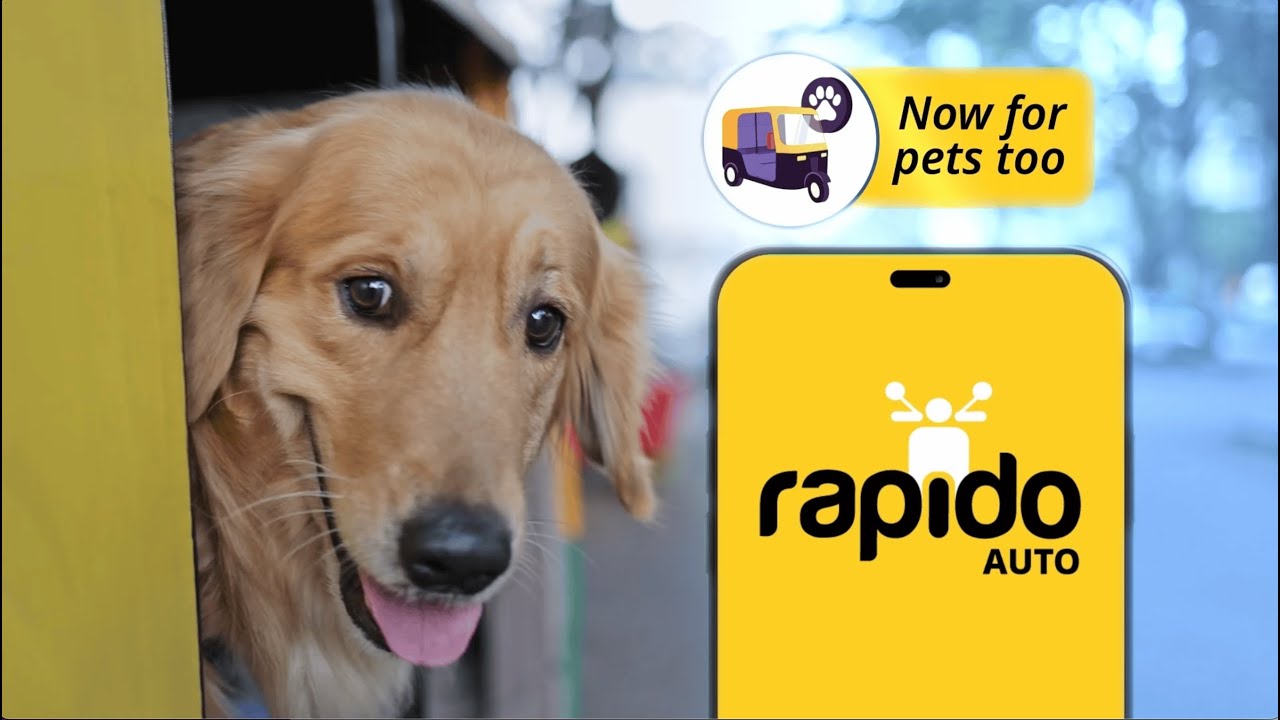 Rapido Auto Pet: Comfortable Rides for You and Your Pets! - YouTube
