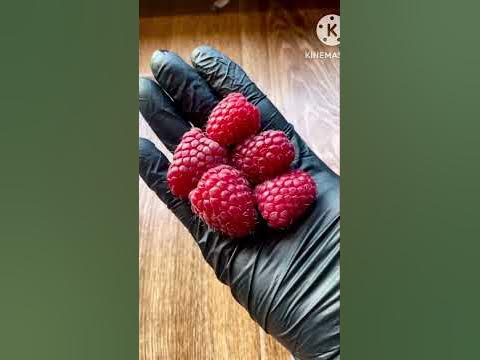Малина Пшехиба(Начало созревания) ️ ️ ️ - YouTube