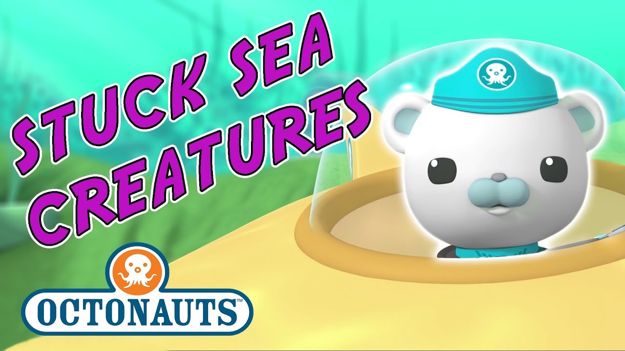 Octonauts - Stuck Sea Creatures | Octonauts Here to Help - YouTube