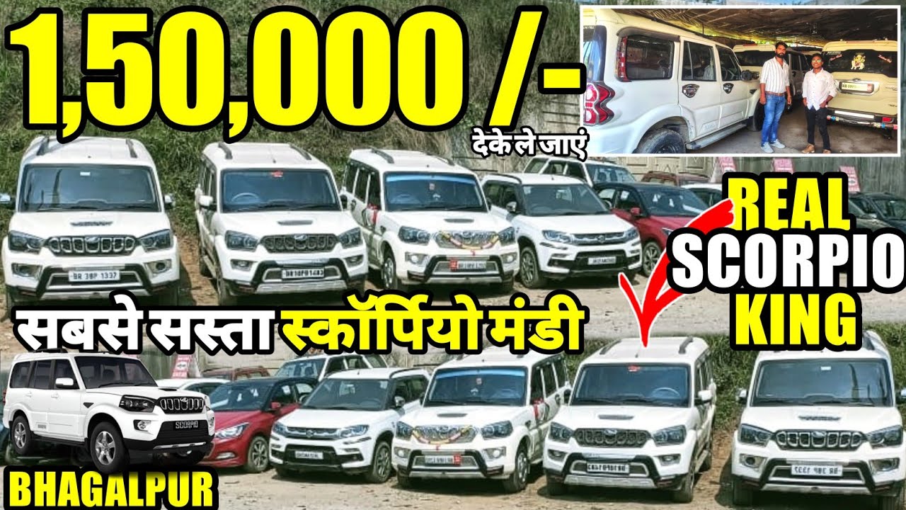 सबसे सस्ता स्कॉर्पियो मंडी🥰|| Real Scorpio King || Second Hand Scorpio ...