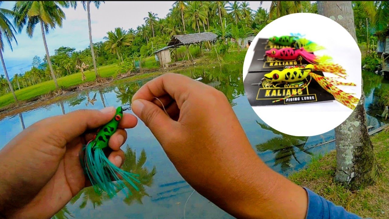 Snakehead Fishing with Killer Lure from Indonesia | Mancing Ikan Gabus ...