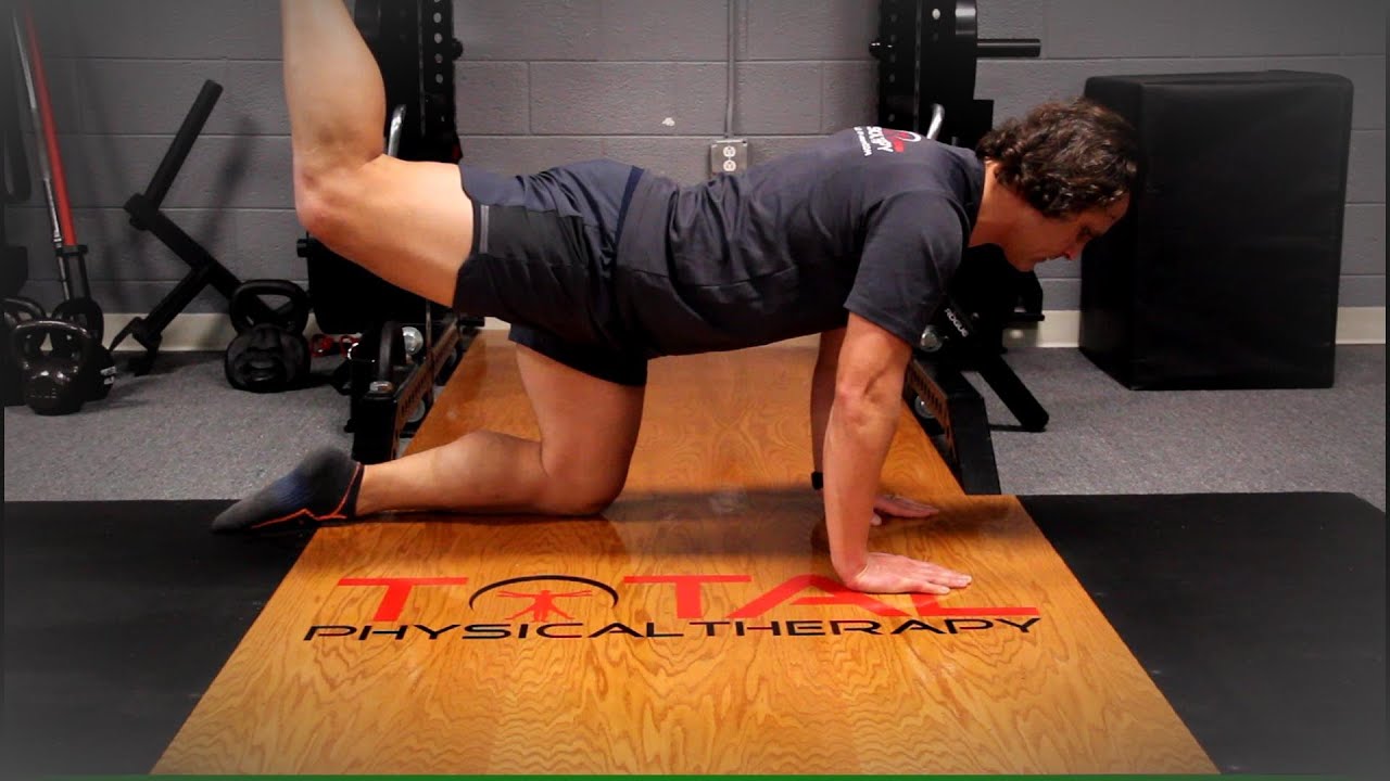 Hip Extension in Quadruped - YouTube