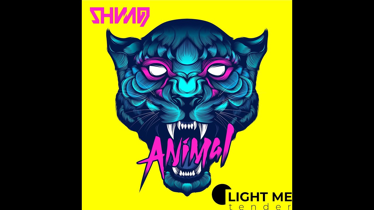 Shining - Animal / Depence² / Timecode show - YouTube