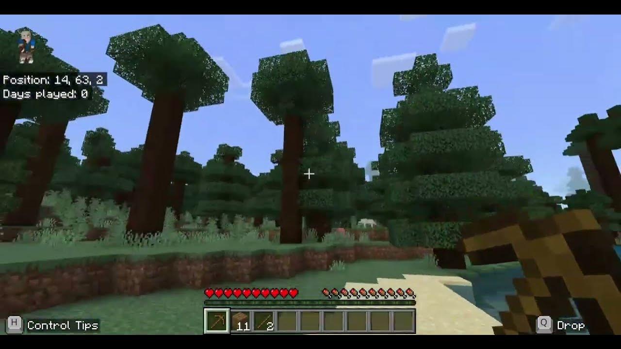 Minecraft Survival Day 1 - YouTube