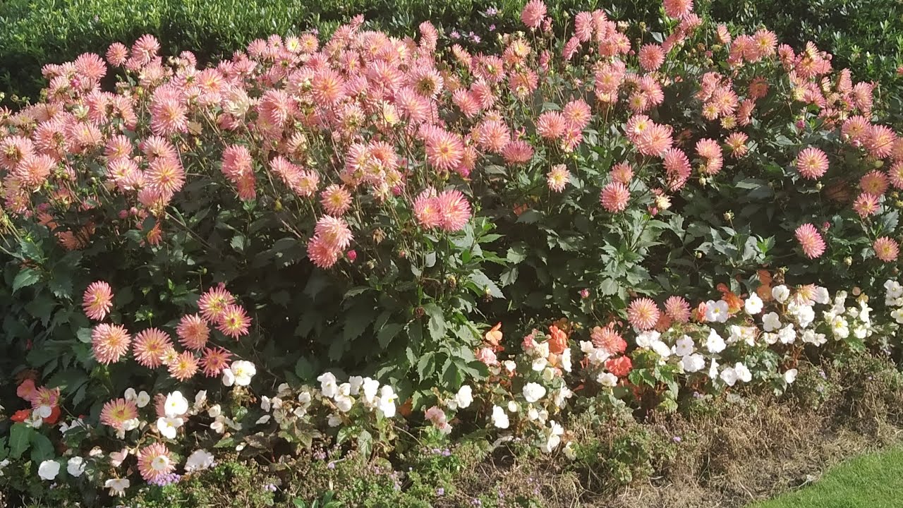 Fabulous October Display. - YouTube