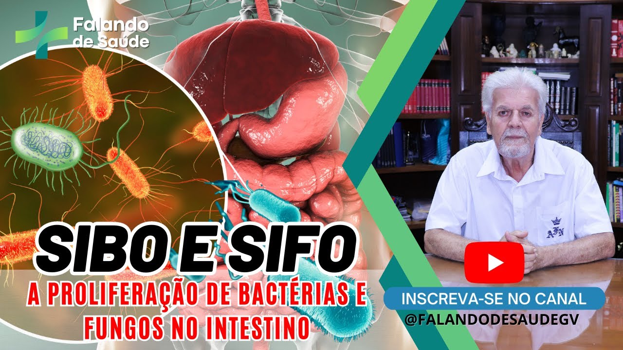 SIBO E SIFO: A PROLIFERAÇÃO DE BACTÉRIAS E FUNGOS NO INTESTINO E COMO ...