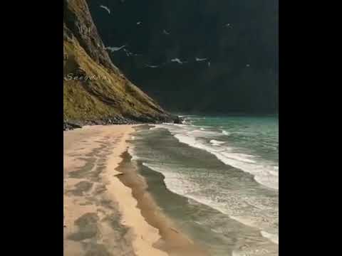 English whatsapp istatus