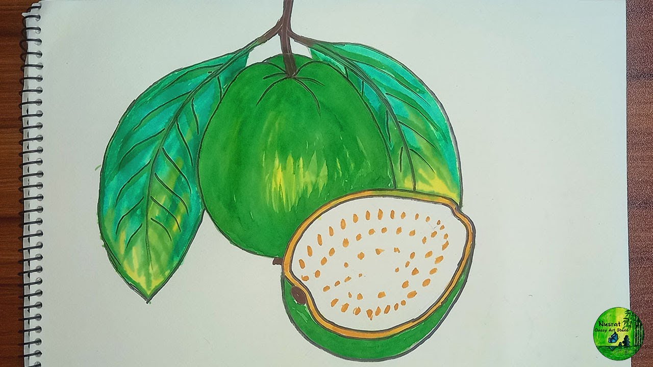 How to draw a Guava step by step - YouTube