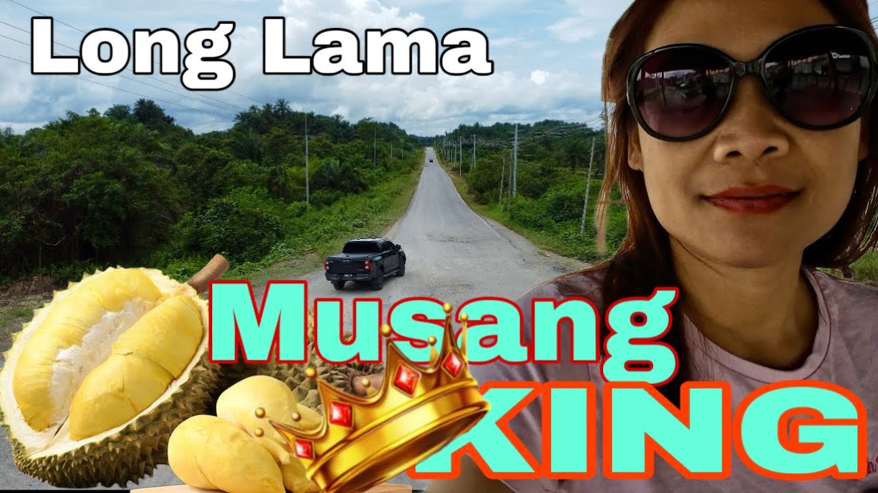 Durian Di Long Lama Memang Antara Yang Terbaik/Lunak/Nyaman/Puas Hati ...
