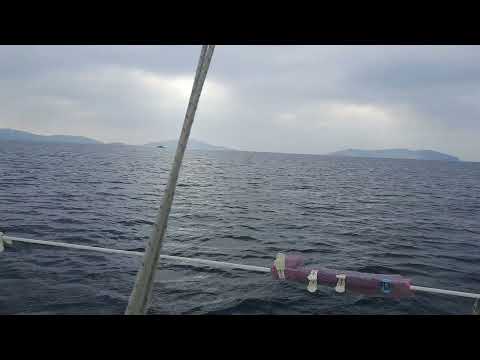 Gökmarin qs21 yelken seyirleri 05.11.2021