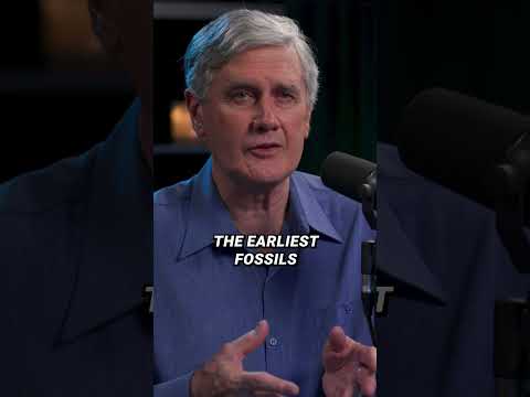 How Does Fossil Evidence Support The Scientific Theory Of Evolution