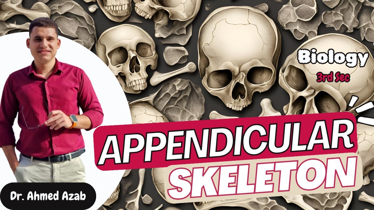 Lecture 2 Appendicular Skeleton 3rd Sec Dr. Ahmed Azab شرح الصف الثالث ...