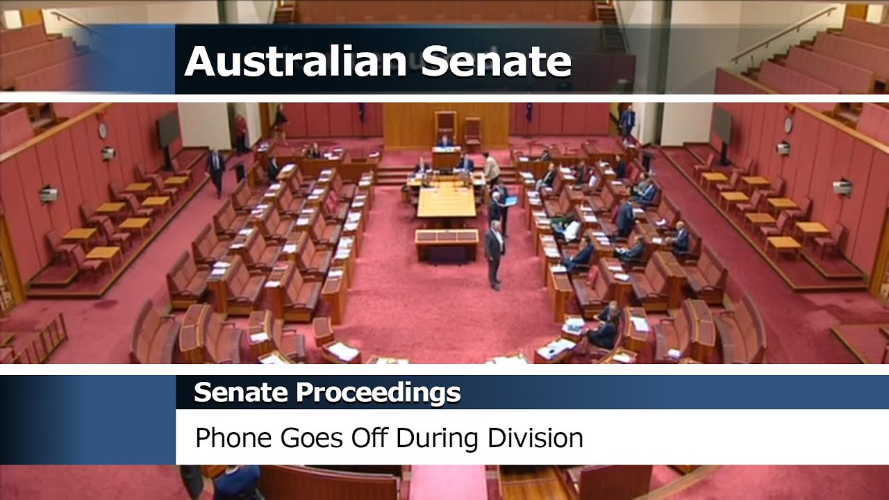 Senate Proceedings - Phone goes off during division (2021) - YouTube