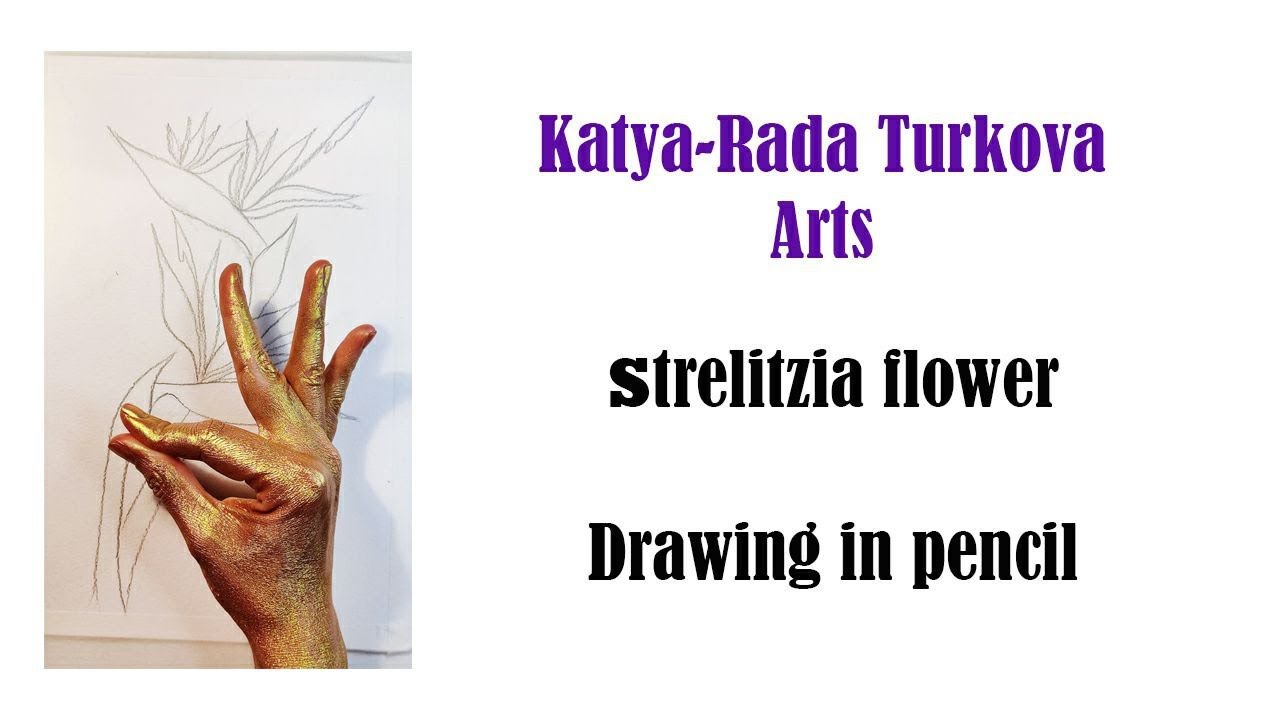 how to draw step by step strelitzia reginae crane flower - YouTube