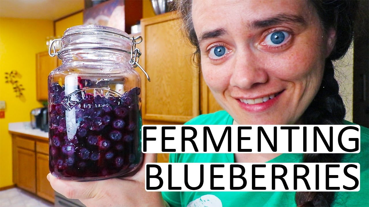 Fermenting Blueberries - Complete With Taste Tests and Troubleshooting ...