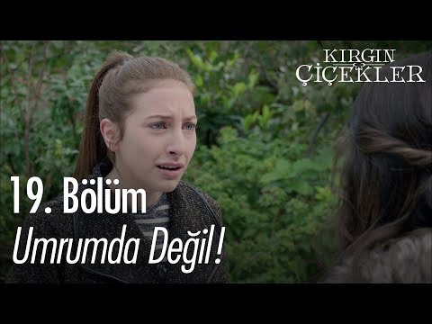 Umrumda değil! - Kırgın Çiçekler 19. Bölüm