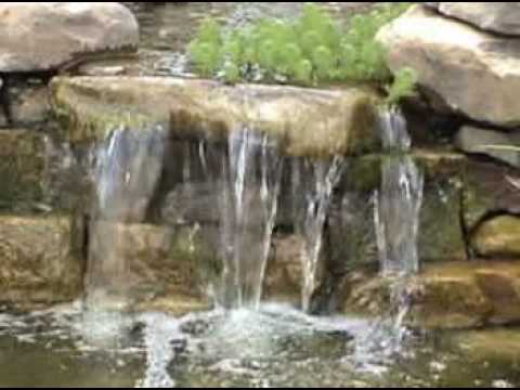 Backyard Pond with Waterfall and Fish - YouTube