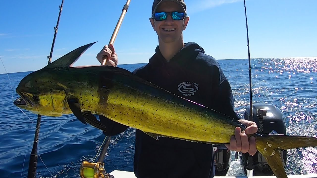 Monster Mangrove Snapper, Mahi, and Vermilion Snapper - YouTube