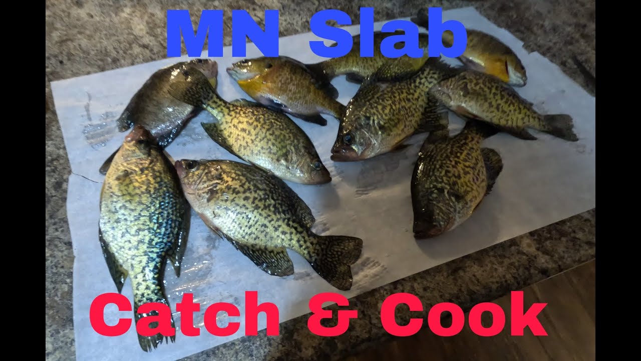 SLAB BLUEGILL CATCH & COOK// Central MN - YouTube