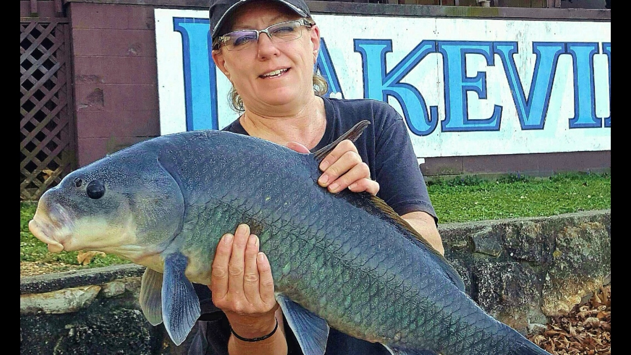 LAKE OF THE OZARKS fishing 2016. Crappie, Carp, Bass - YouTube