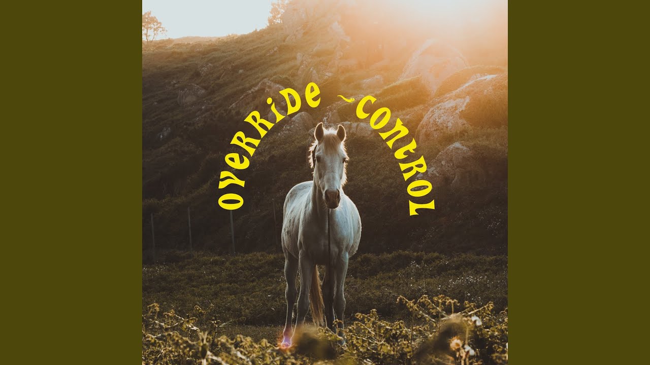 Override/Control - YouTube Music