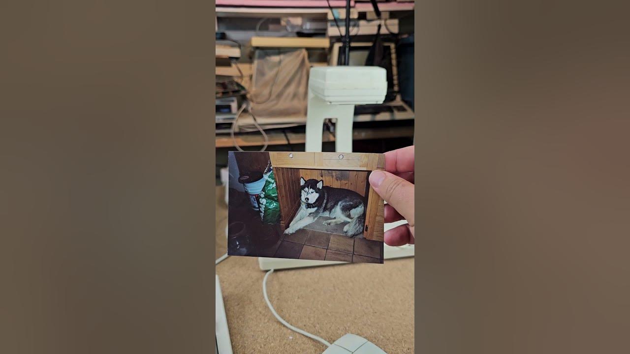 Old PC Scanner from 1989! #shorts #retro #retrocomputer #retrogaming # ...